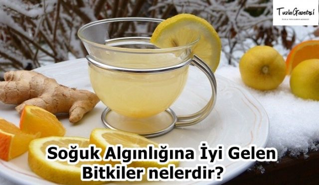 Yeni Başlayanlar için Meditasyon Rehberi | İstanbul Tuzla Yeni Başlayanlar için Meditasyon Rehberi | İstanbul Tuzla